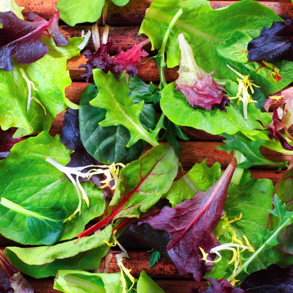 Organic Salad Mix - Nude Foods Market
